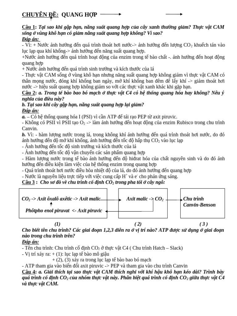 CĐ Quang Hợp | PDF