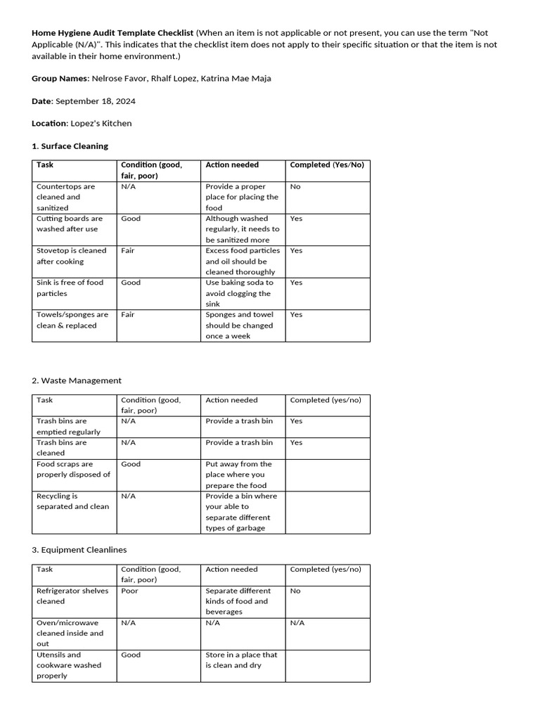 Home Hygiene Audit Template Checklist | PDF