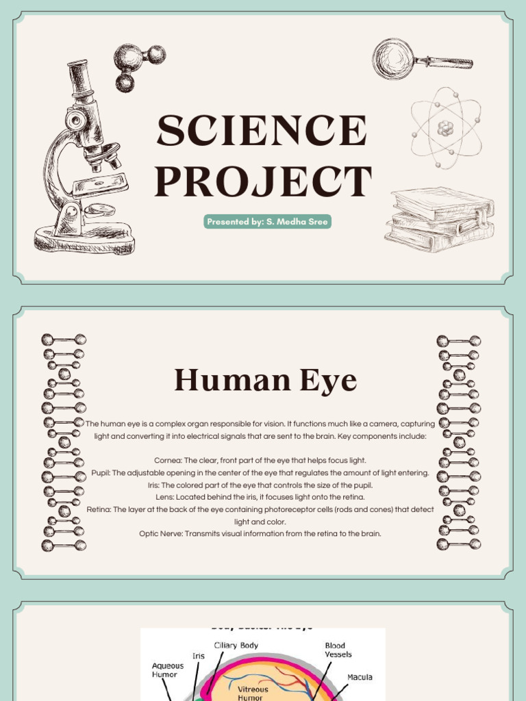 Science Project ? | PDF