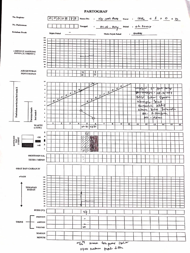 Pengisian Partograf | PDF