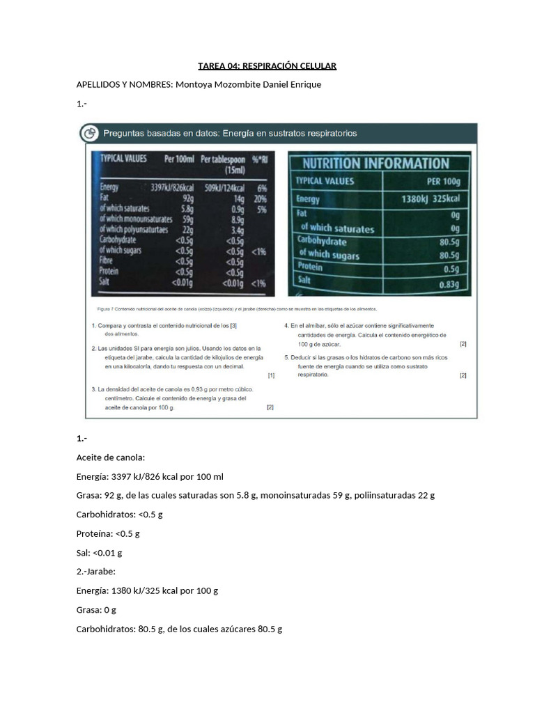 Tarea 04 | PDF Tarea 04 | PDF