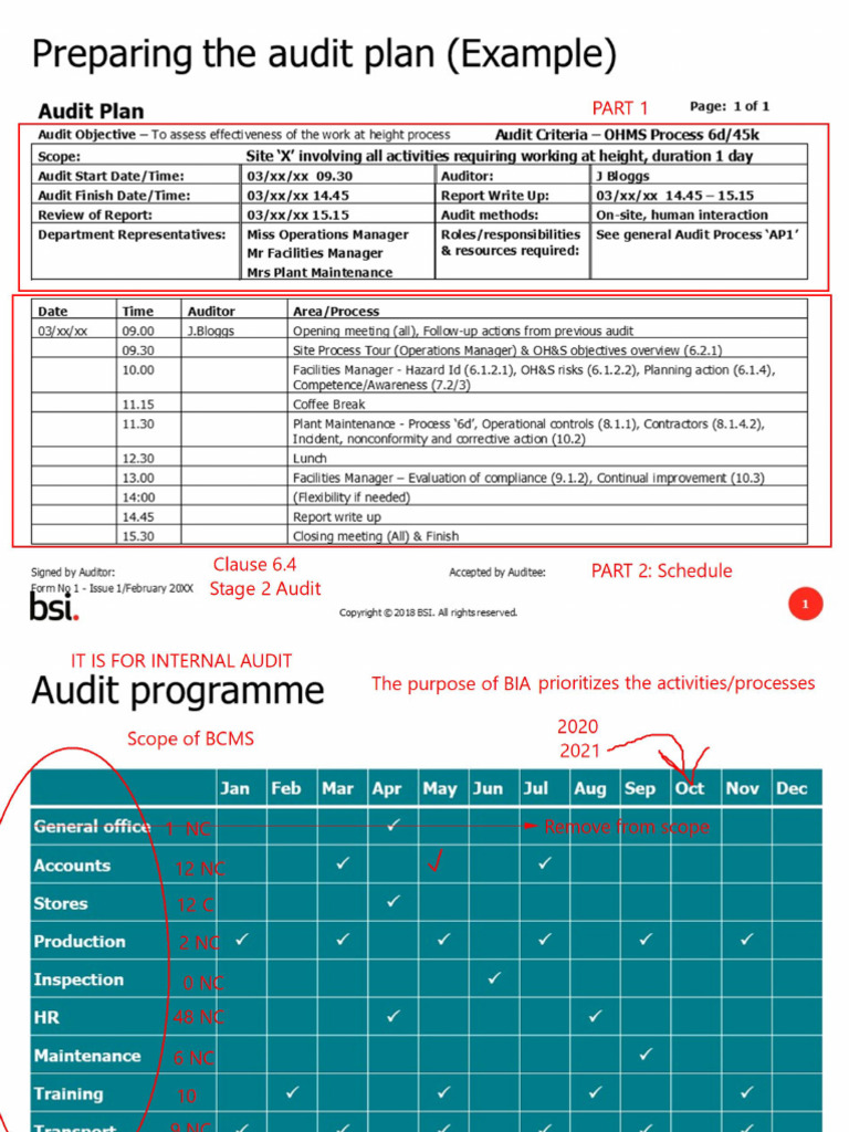 Audit Programme and Plan | PDF