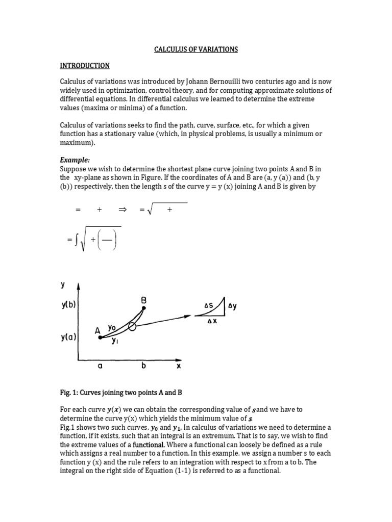 Calculus of Variations | PDF