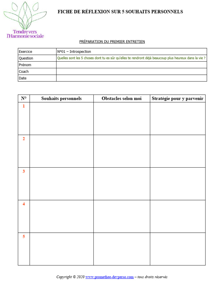 Fiche de Réflexion Sur 5 Souhaits Personnels | PDF
