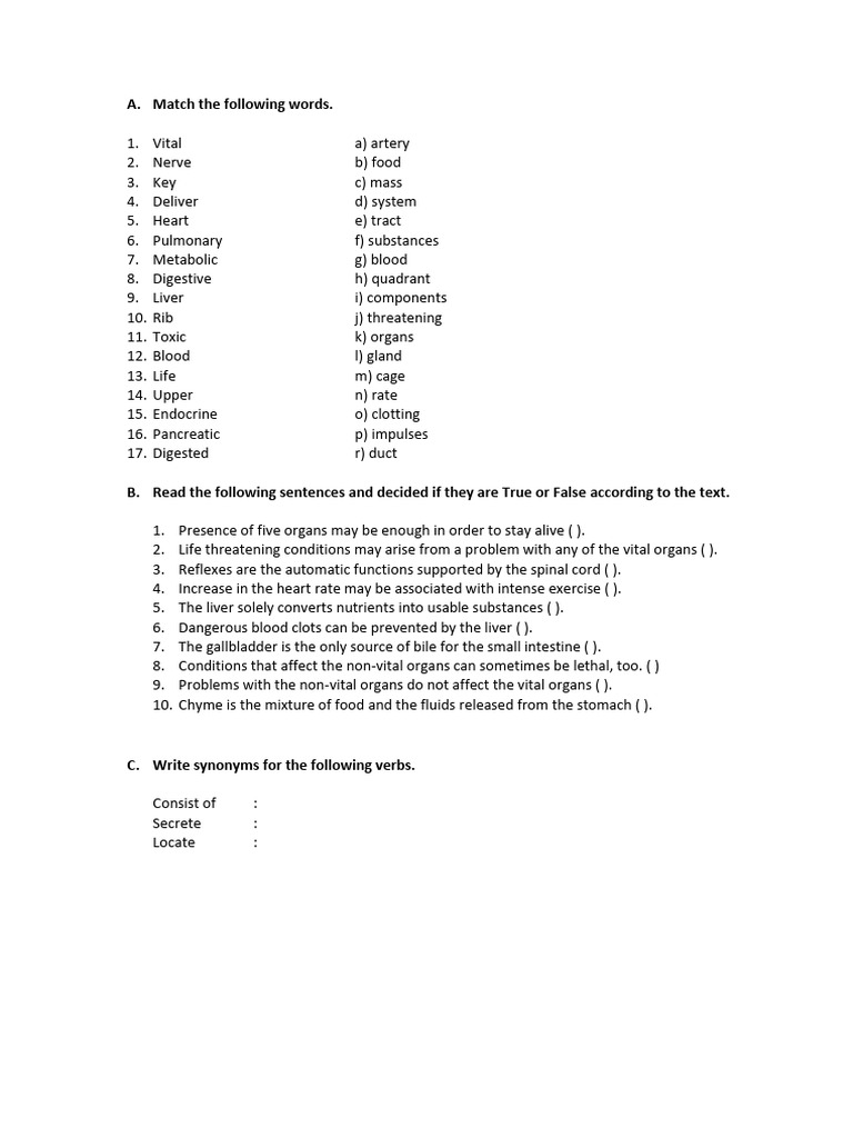 Organs of The Body Exercises | PDF