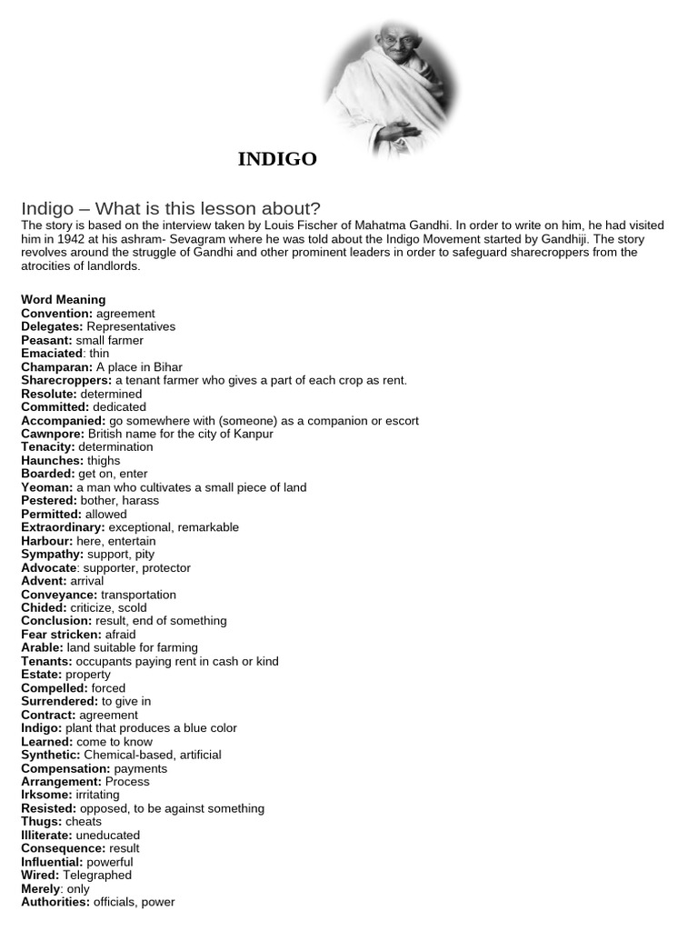 Practice Questions Indigo | PDF