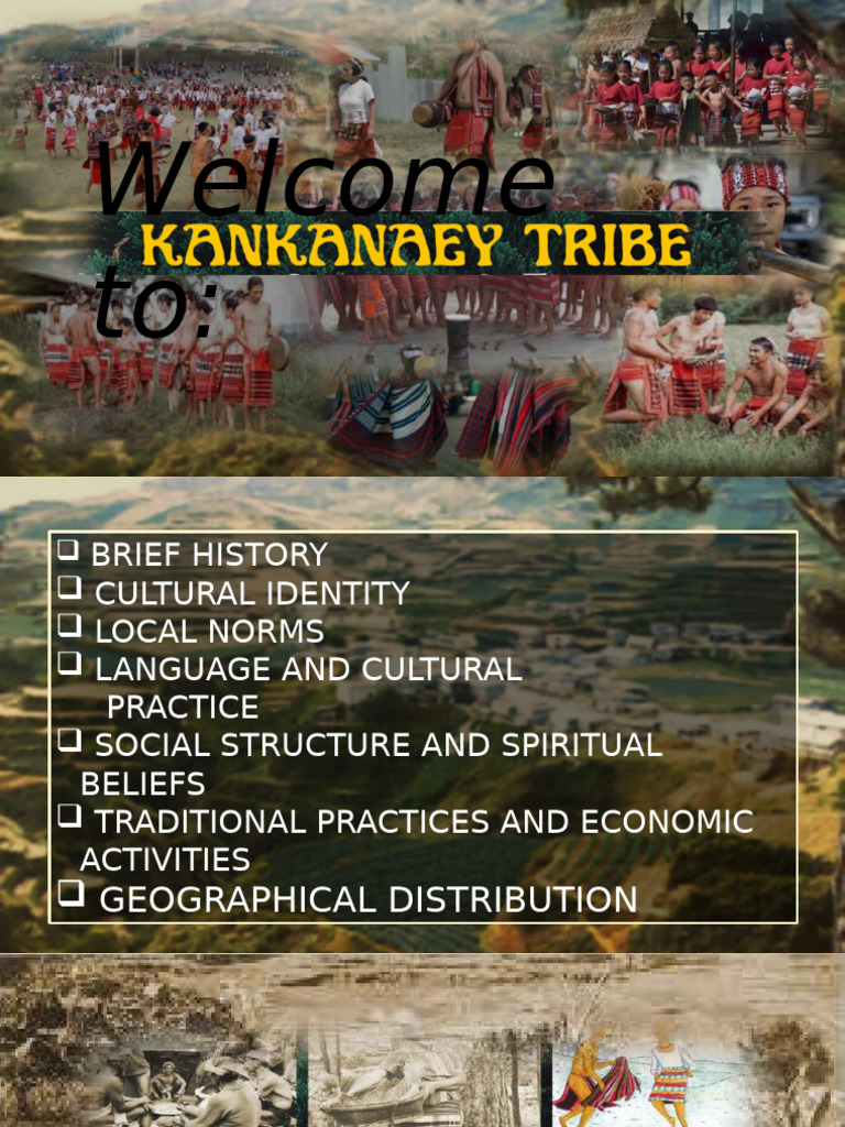 Multi Indigenous Report | PDF