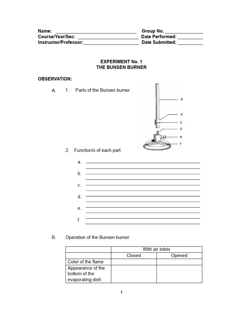Activity 1 Lab Report The Bunsen Burner | PDF
