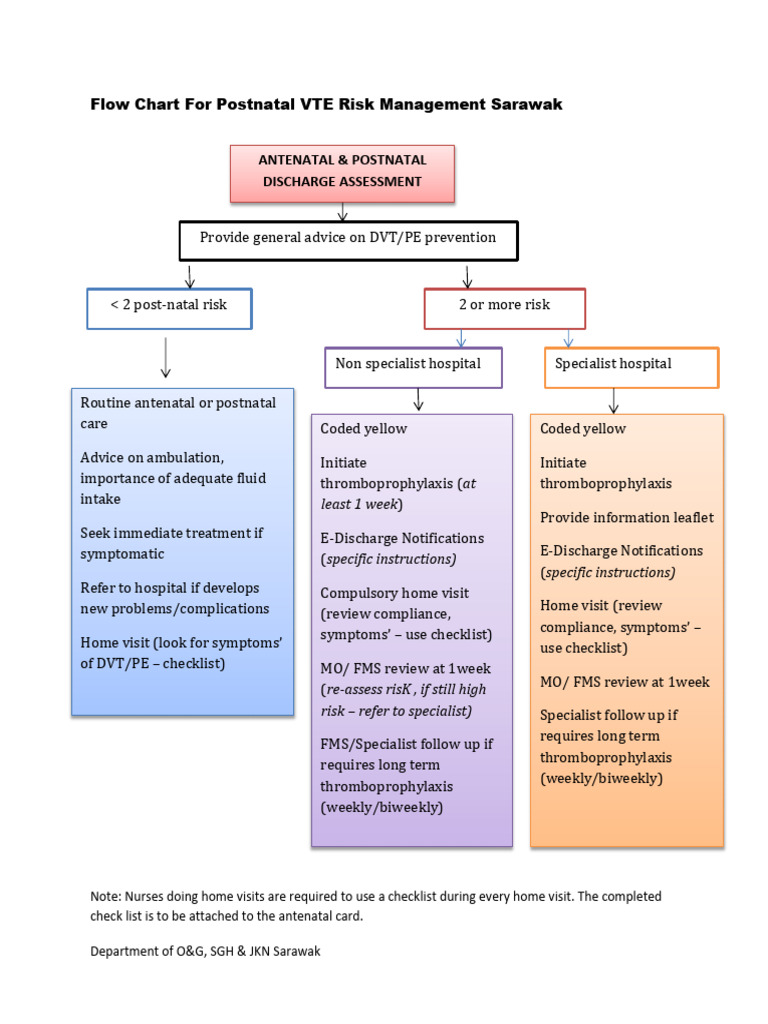 Flowchart For Sarawak Postnatal Vte Risk Assessment Discharge | PDF