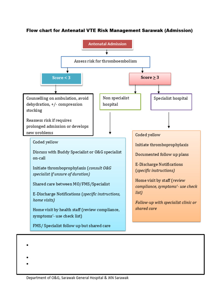 Flowchart For Sarawak Vte Risk Assessment Admission | PDF