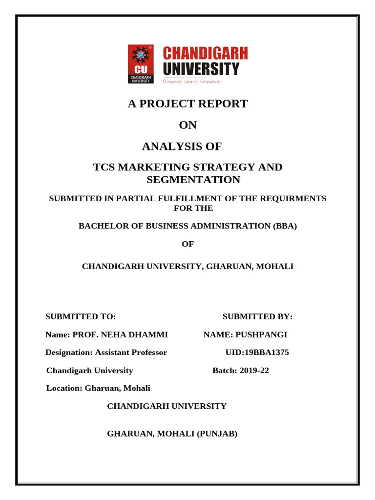 TCS Marketing Strategy Analysis Report | PDF | Market Segmentation | Marketing