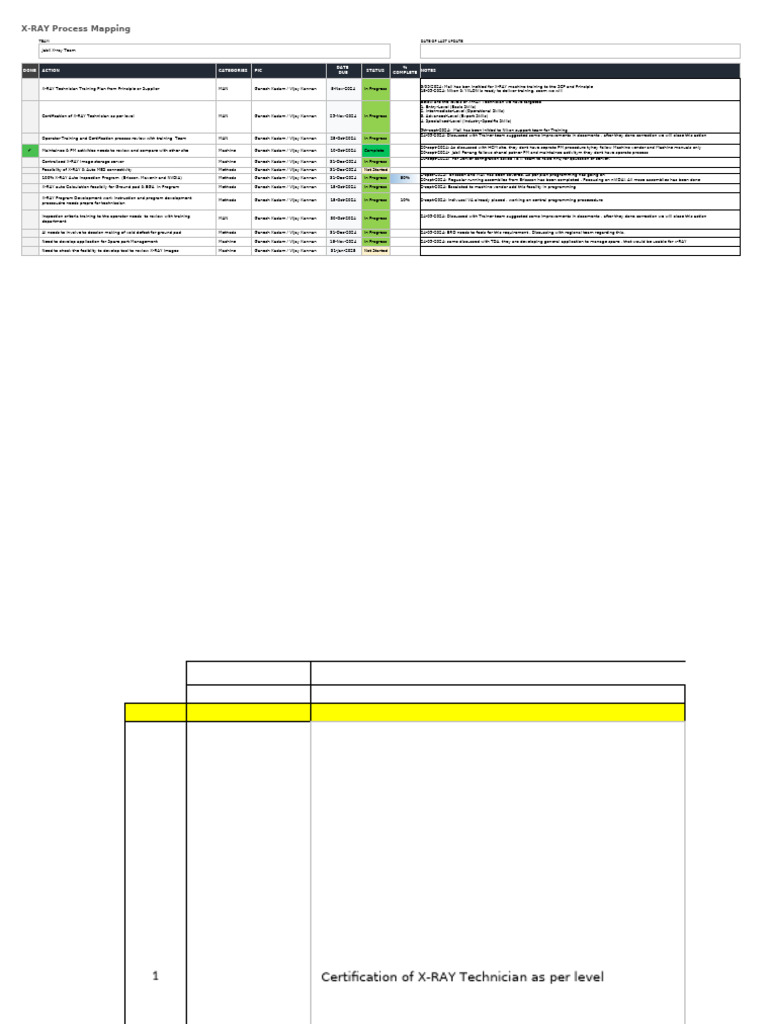 X-RAY Process Mapping Action Tracker | PDF | Expert | X Ray