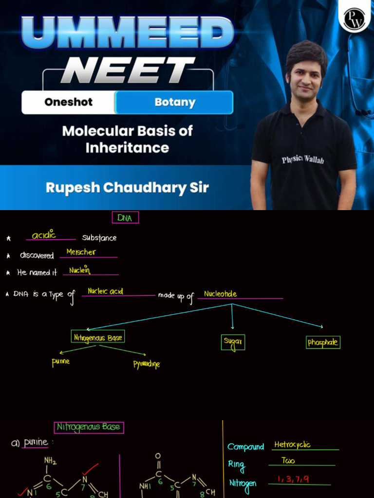 Molecular Basis of Inheritance Class Notes Ummeed NEET 2024 | PDF