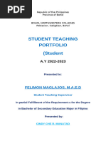 Teaching Internship Portfolio Format | PDF | Curriculum | Learning