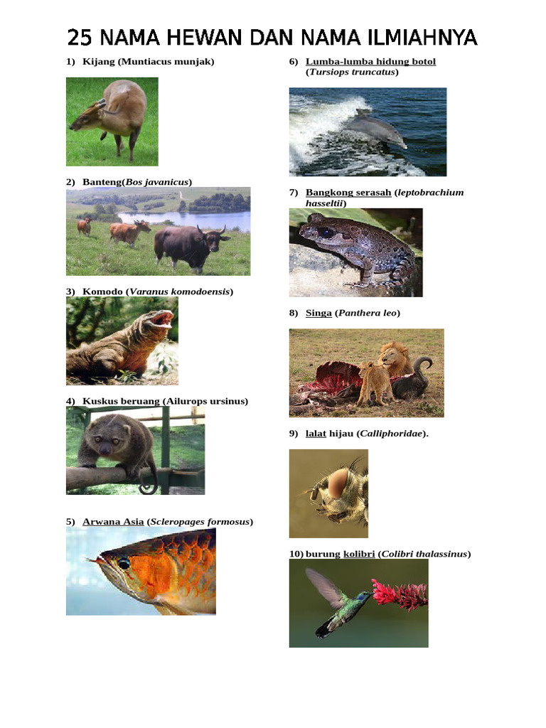 25 Gambar Tumbuhan Dan Hewan | PDF