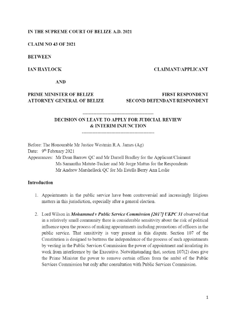 Ian Haylock V Prime Minister of Belize | PDF