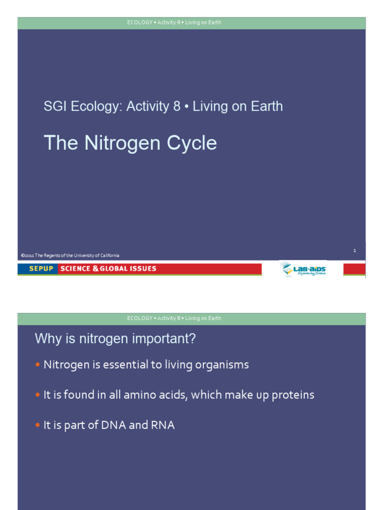 Nitrogen Powerpoint-1 | PDF