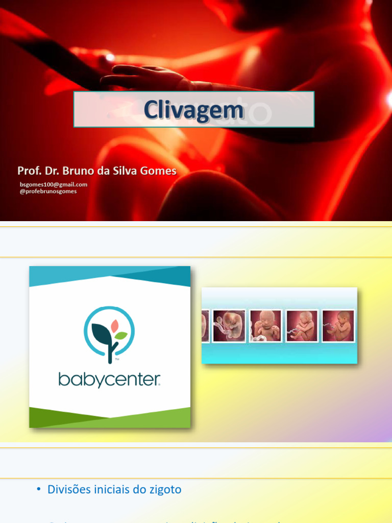 Clivagem | PDF