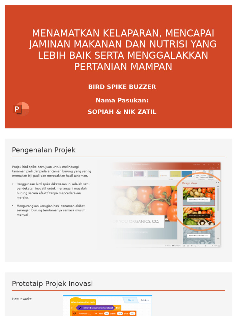 Inovasi Bird Spike | PDF