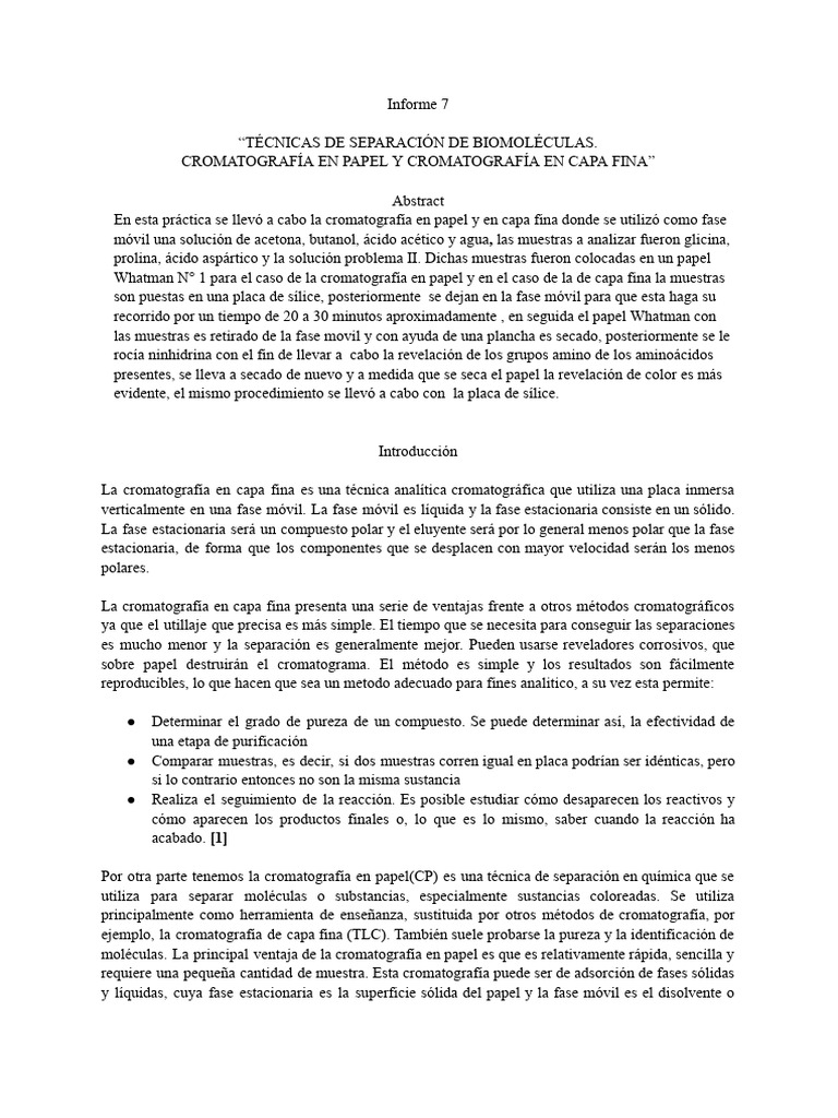 Informe 7 | PDF