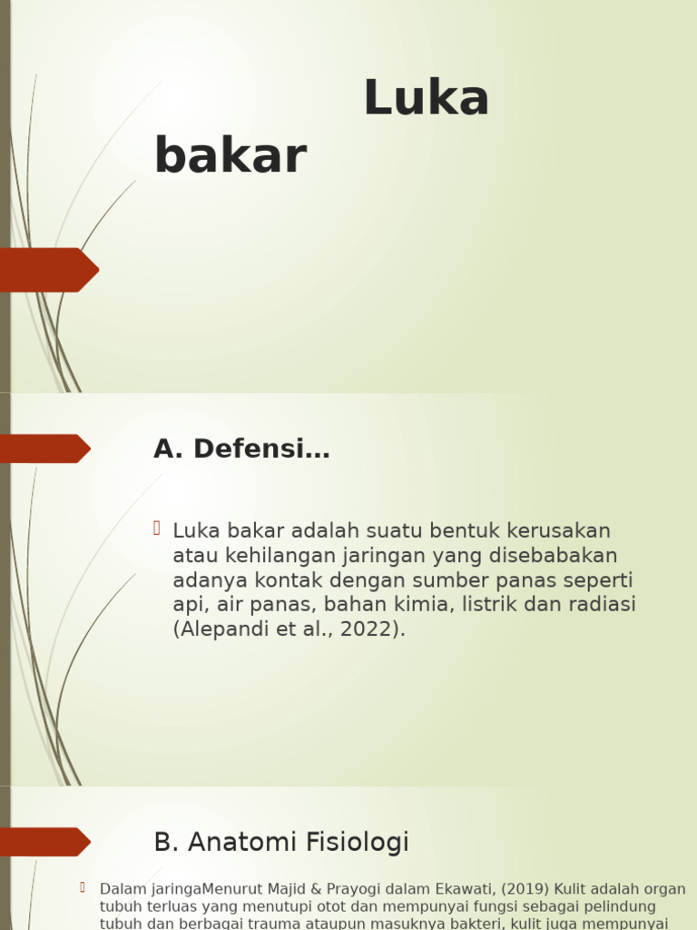 Luka Bakar | PDF