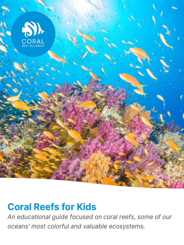 Coral Reefs For Kids V4 | PDF