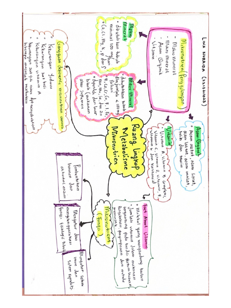 Lina Nuraida-2213211028 - Tugas 1 Mind Mapping | PDF