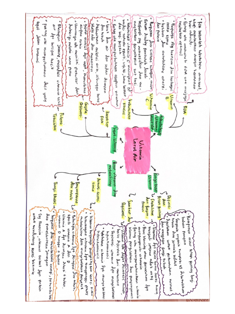 Lina Nuraida-2213211028 - Mind Map Vitamin | PDF
