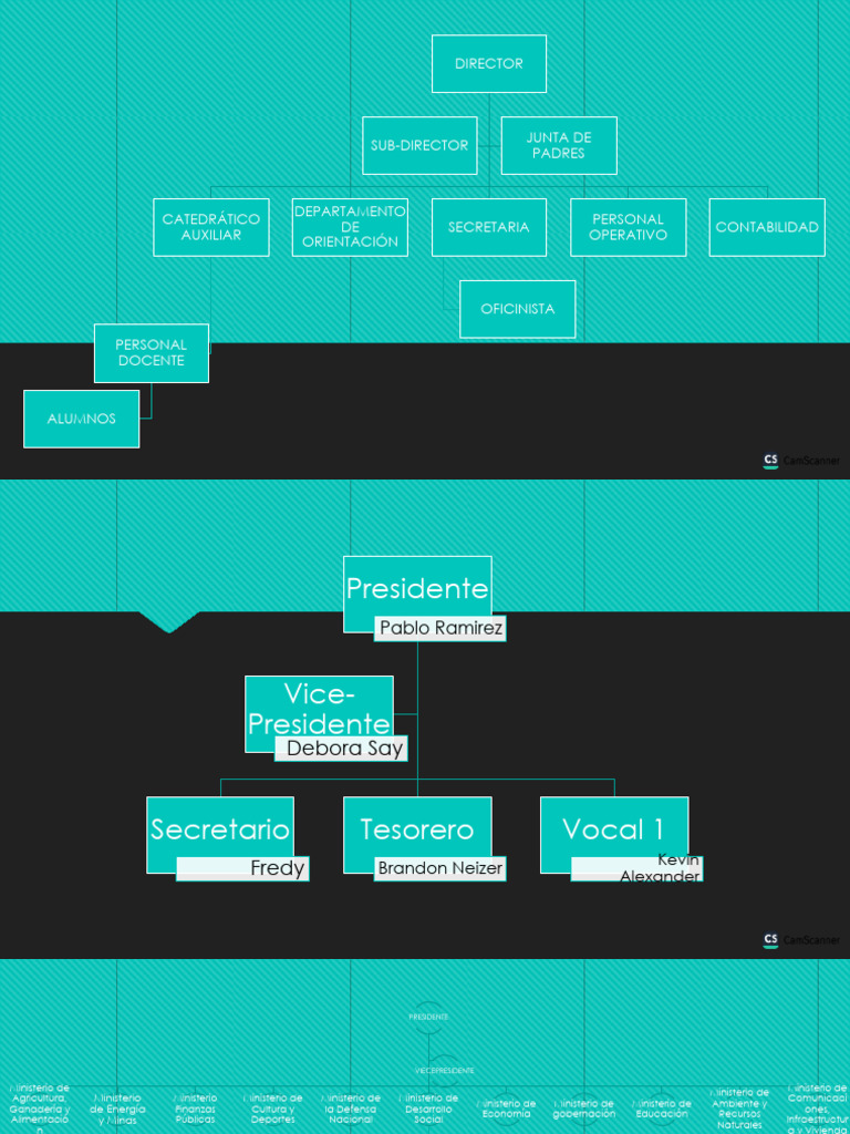 Organigramas Pág 78 | PDF