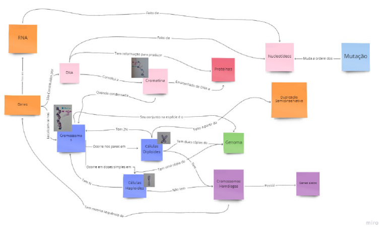 Mapa de Bio 1 | PDF