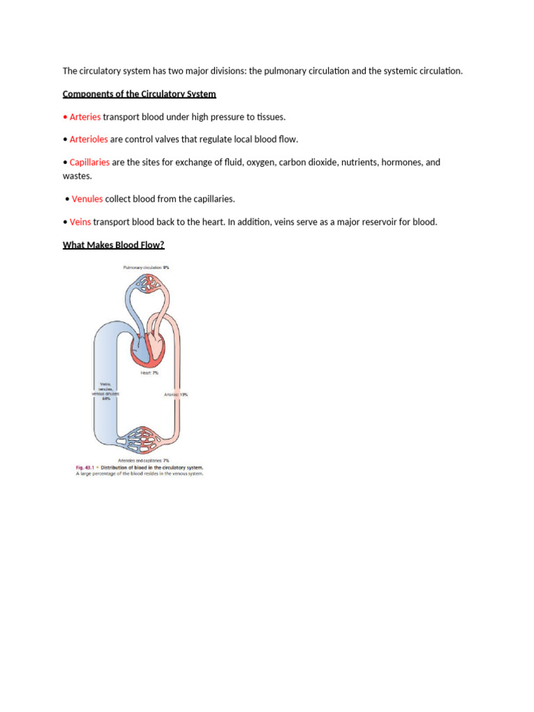 Circulation Pdf