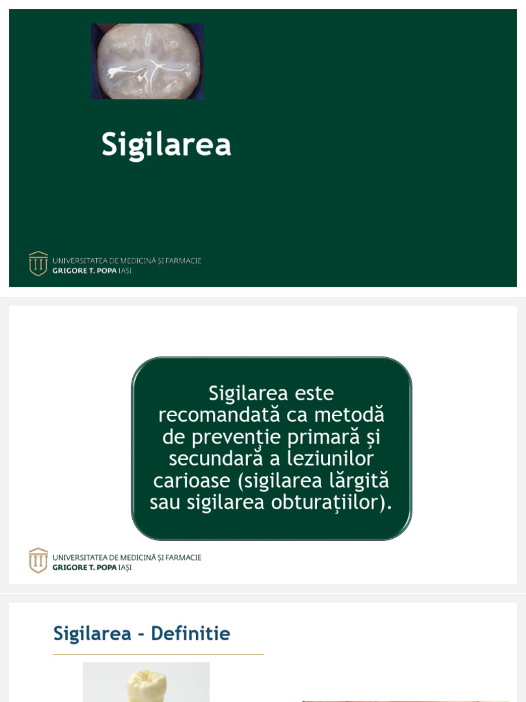 Curs 7 Anul III Ro 2021 Sigilare | PDF