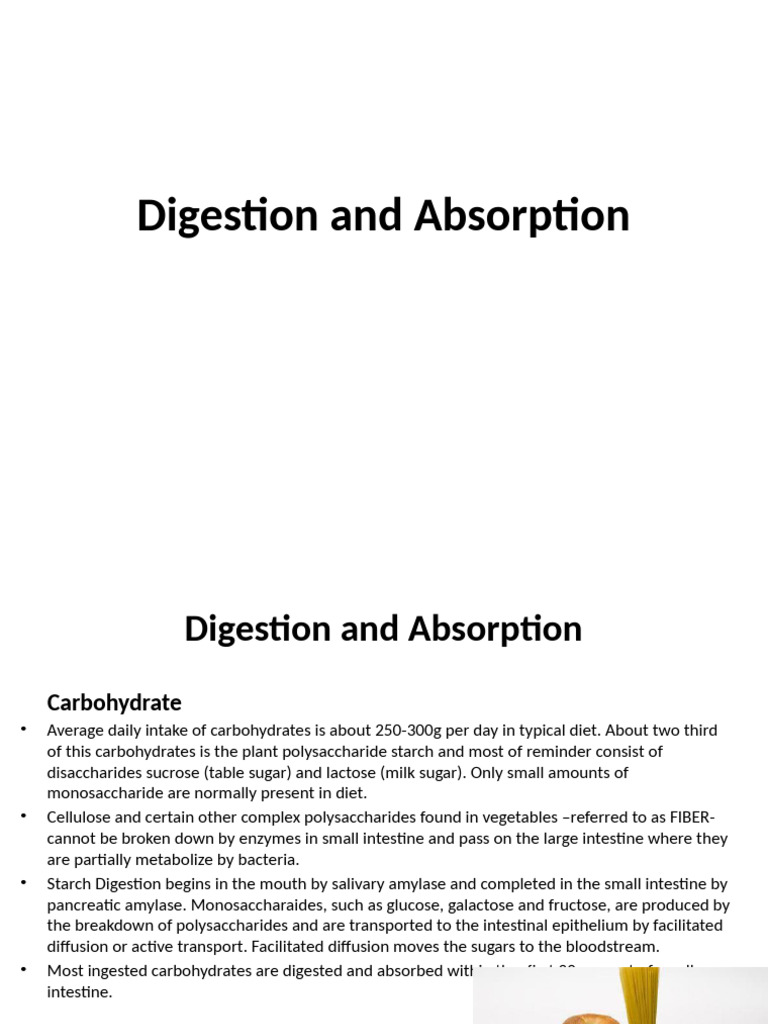 Digestion 2 | PDF