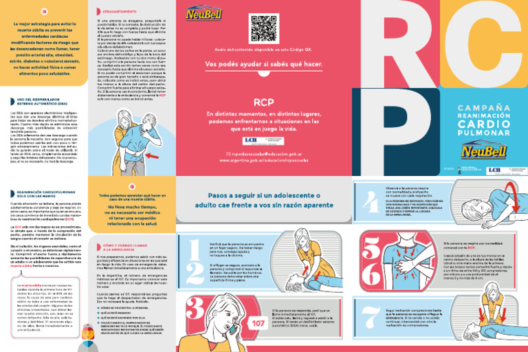 Folleto RCP 2024 SRT | PDF