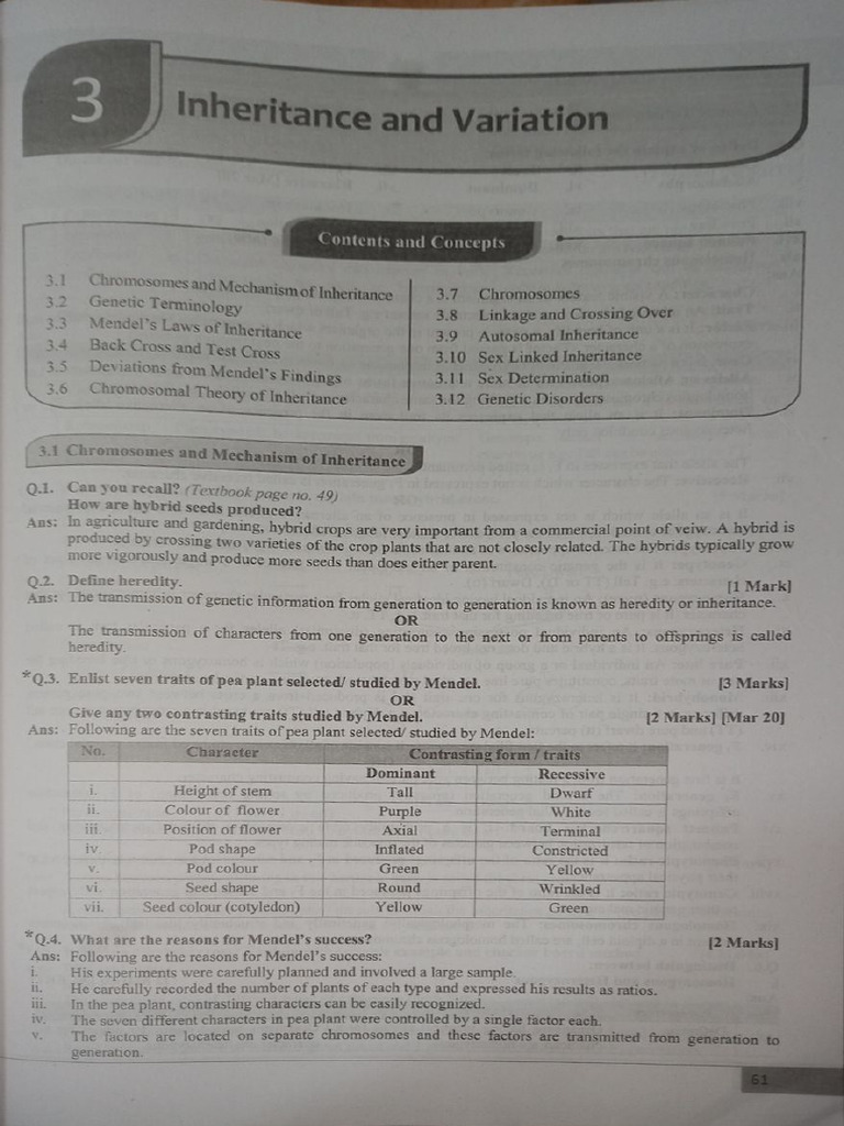 Molecular Basis of Inheritance | PDF