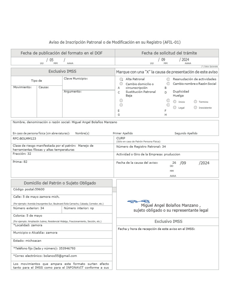 Afil-01 - Imss | PDF