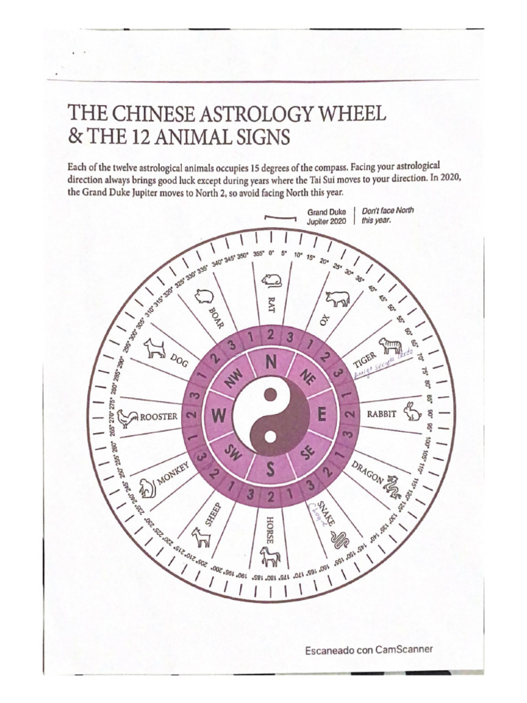 The 12 Animal Signs | PDF