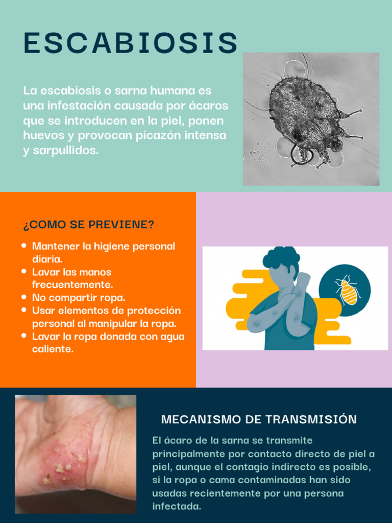 Escabiosis | PDF | Ciencia y matemáticas