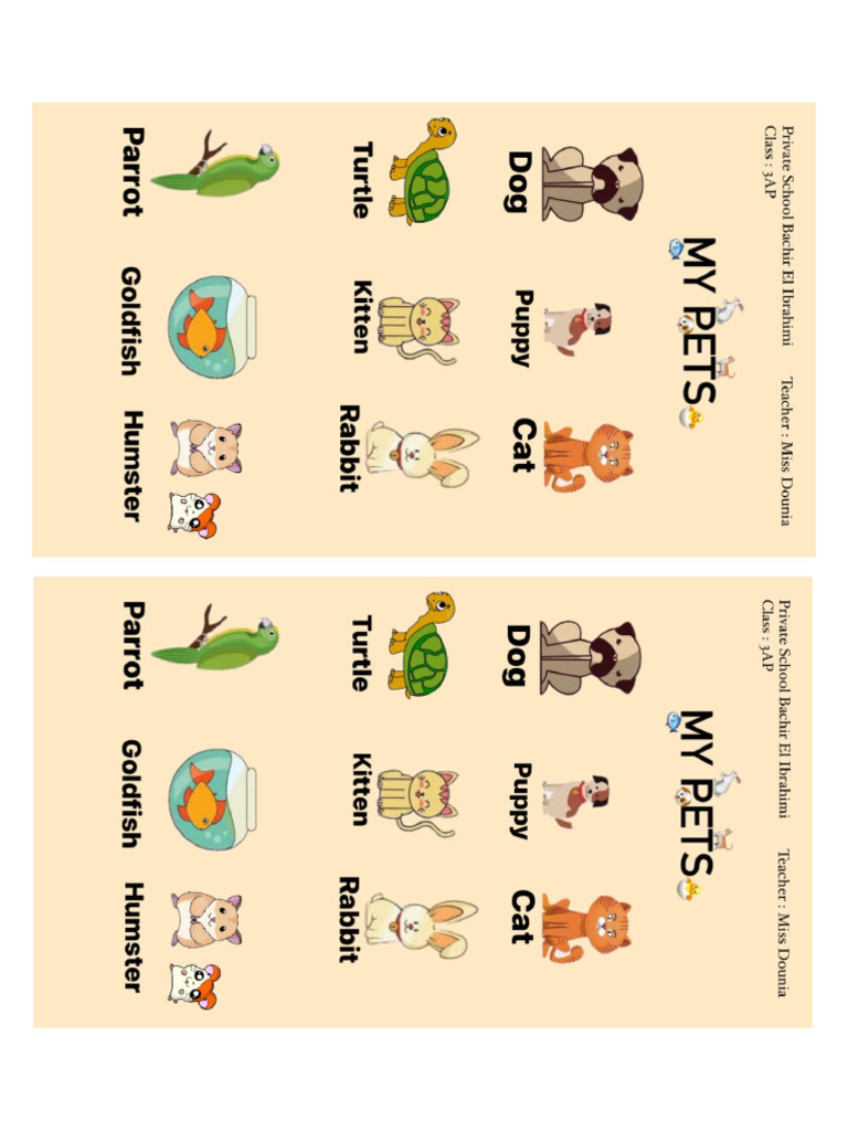 My Pets 3AP | PDF