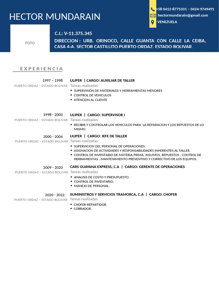 Curriculum Vitae HECTOR | PDF