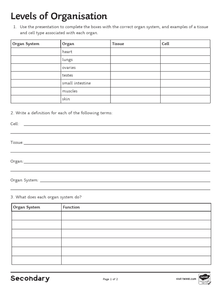 Levels of Organisation - Higher Ability Activity Sheet | PDF
