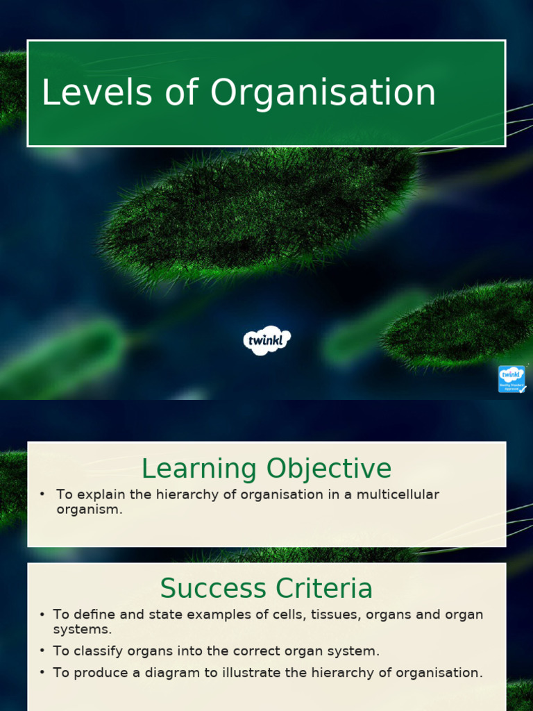 Levels of Organisation PowerPoint | PDF