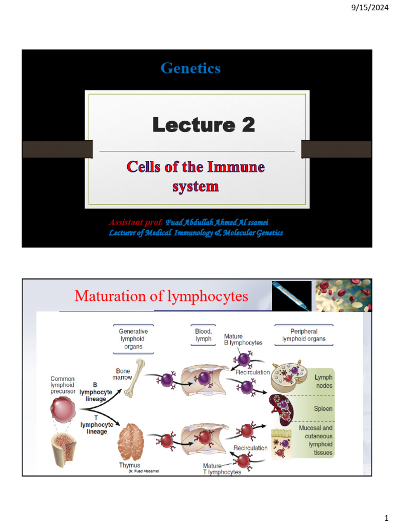 Lect 2 - Cells of The Immune System | PDF