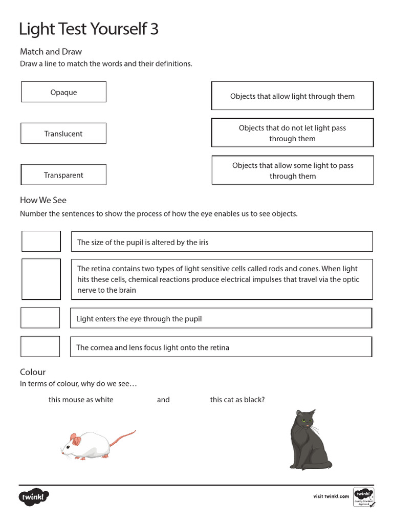 Light Test Yourself 3 | PDF