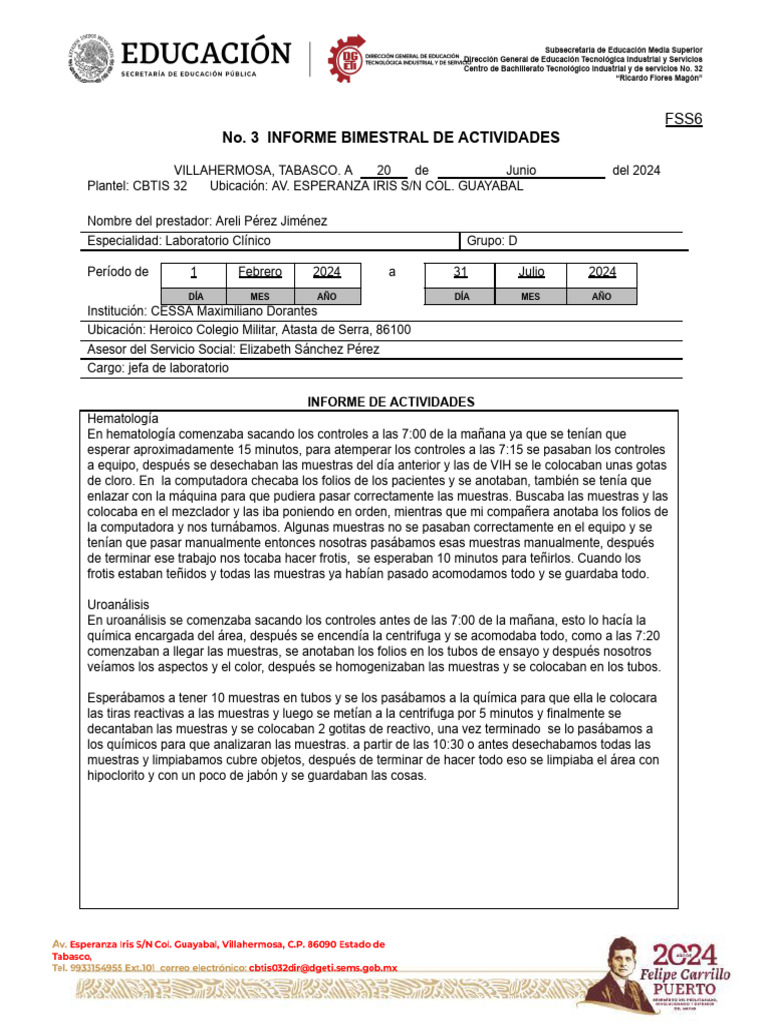 Reporte o Informe Bimestral 2024 | PDF