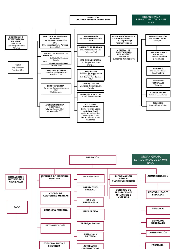 Organigrama UMF 65 2024 | PDF
