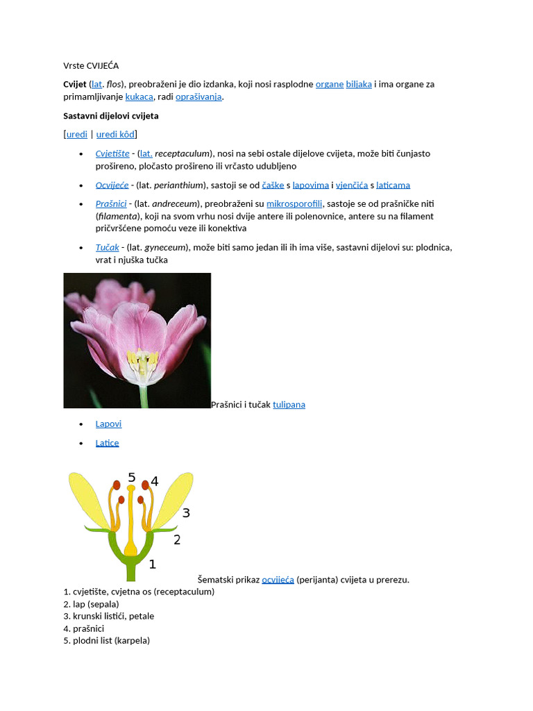 Vrste Cvijeća | PDF