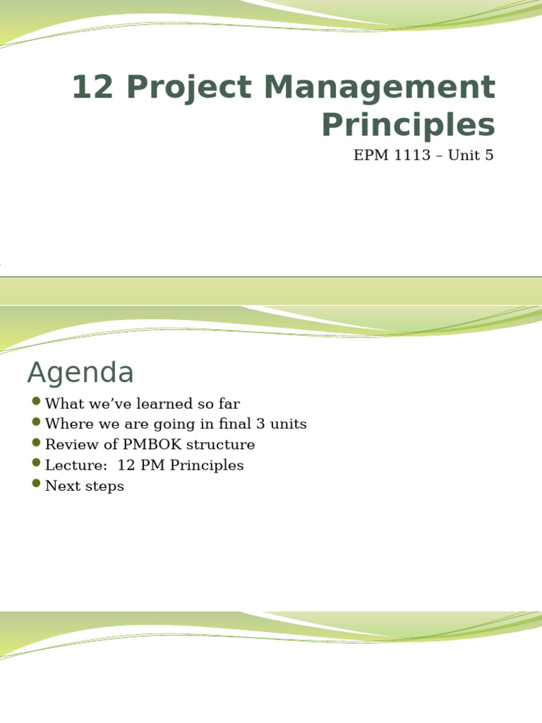 Unit 5 Project Management Principles | PDF