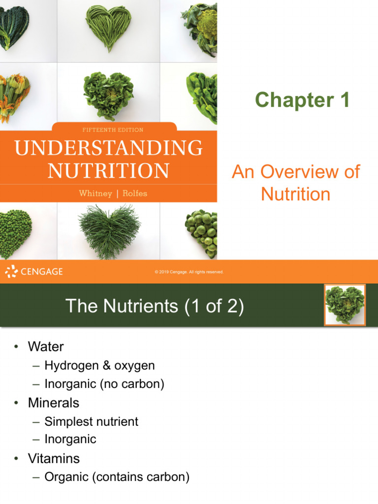 Under Nutrition Mod Chap 1 | PDF