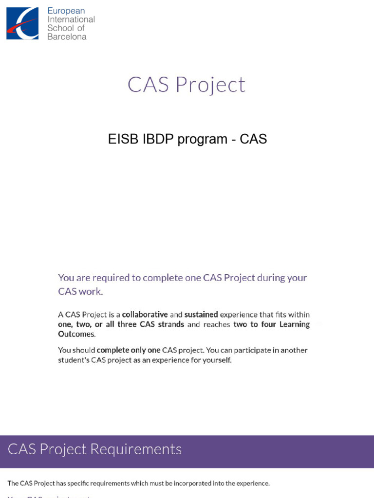 CAS Project | PDF